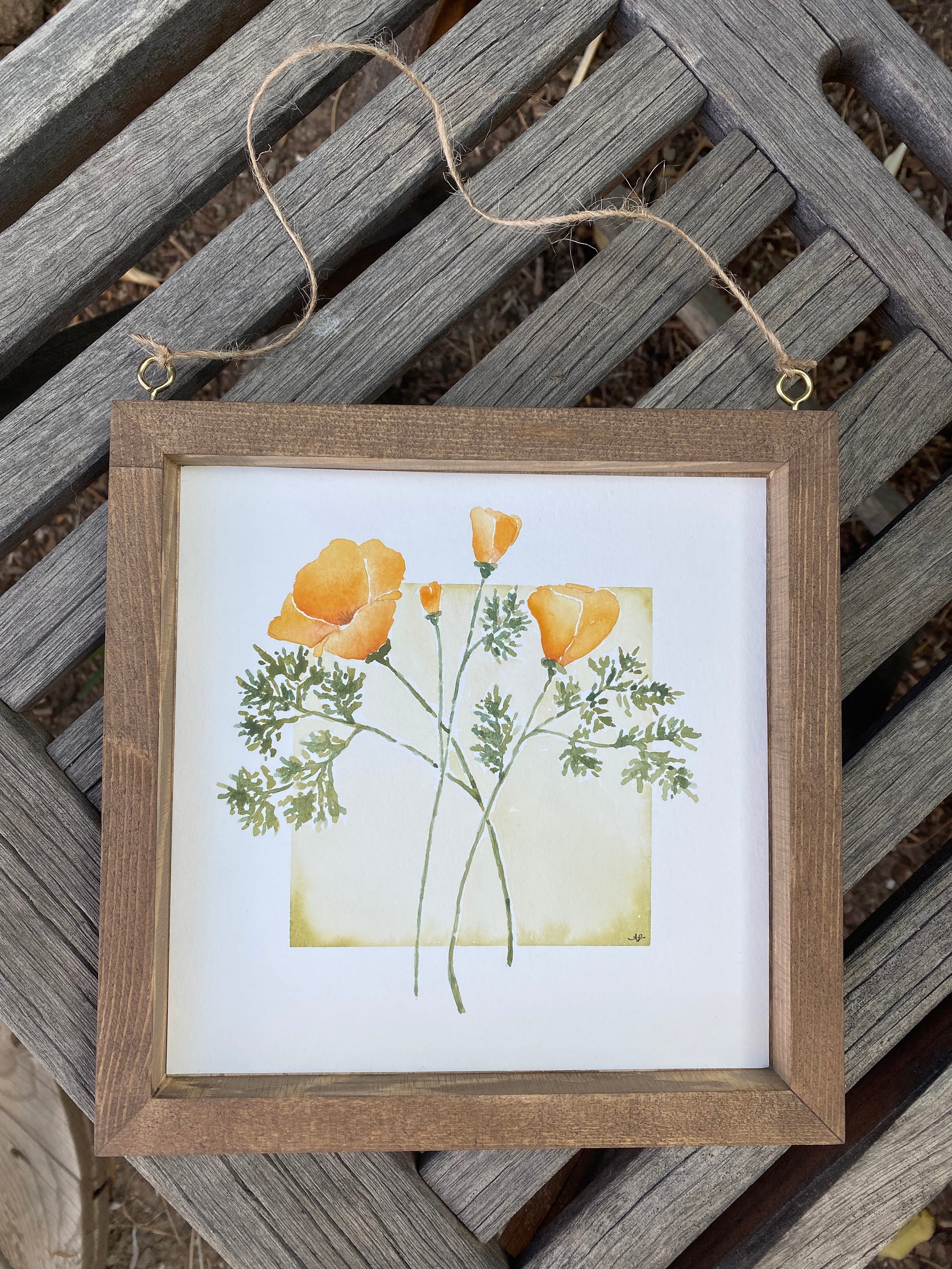 California Poppy Shadowbox With Golden Eye Hooks and Twine - Etsy