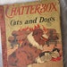 The Chatterbox Book of Cats and Dogs 1909 First Edition - Etsy