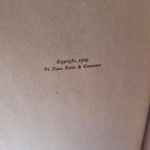 The Chatterbox Book of Cats and Dogs 1909 First Edition - Etsy