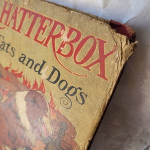 The Chatterbox Book of Cats and Dogs 1909 First Edition - Etsy