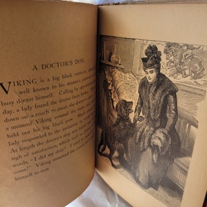 The Chatterbox Book of Cats and Dogs 1909 First Edition - Etsy