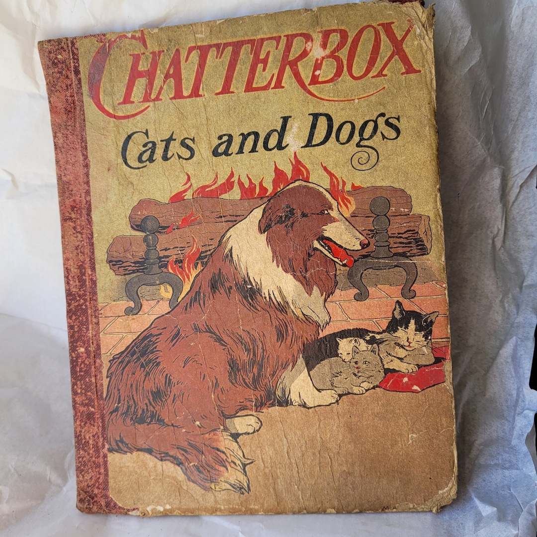 The Chatterbox Book of Cats and Dogs 1909 First Edition - Etsy