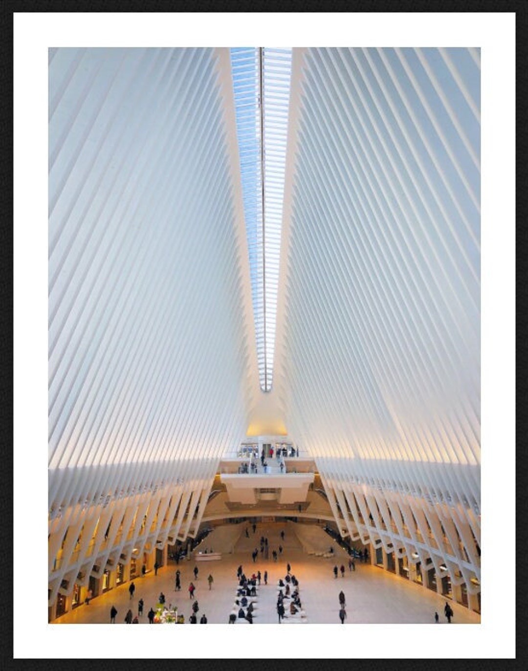 World Trade Center; Oculus Train Subway Station (in New York City ...