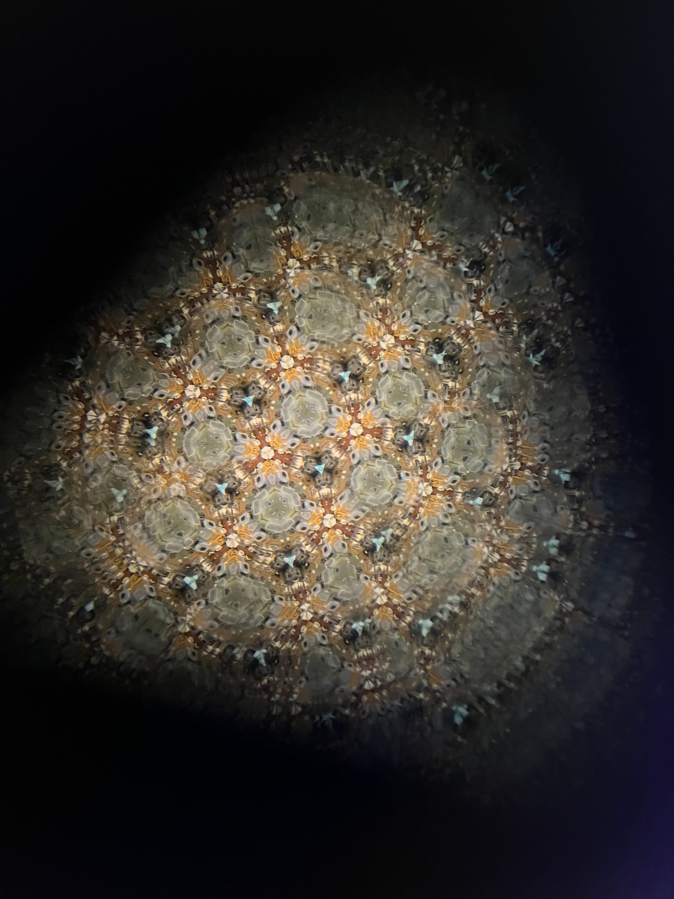 Brass Unicorn Teleidoscope, Handmade Teleidoscope, First Surface Mirror, Sculpted Clay ...