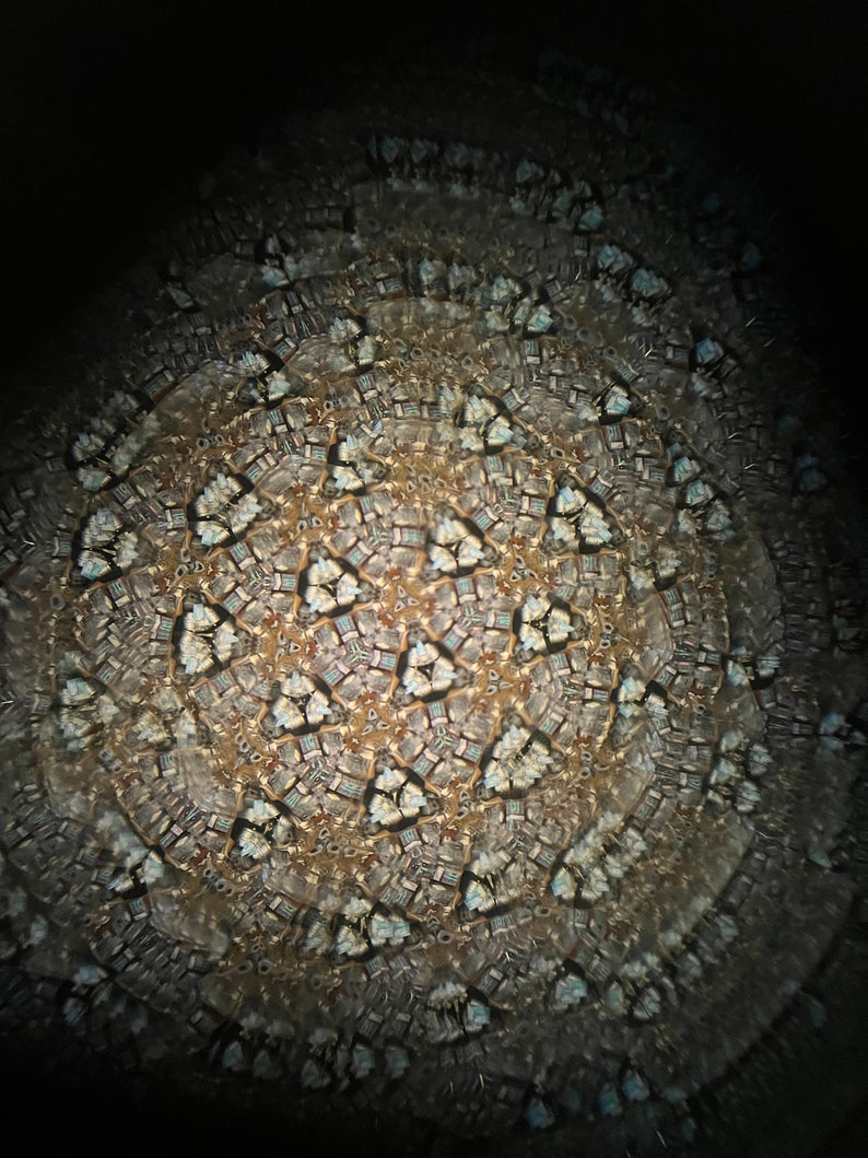 Brass Unicorn Teleidoscope, Handmade Teleidoscope, First Surface Mirror, Sculpted Clay ...