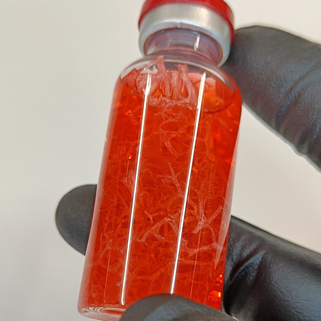 SCP-129 Infección Fúngica Progresiva / Cosplay / SCP / Terror / Clase ...