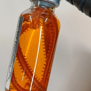 SCP-378 Brainworm / Cosplay / SCP / Horror / Clase De Objeto: THAUMIEL ...