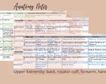 PT & OT Observation Hours Log - Etsy