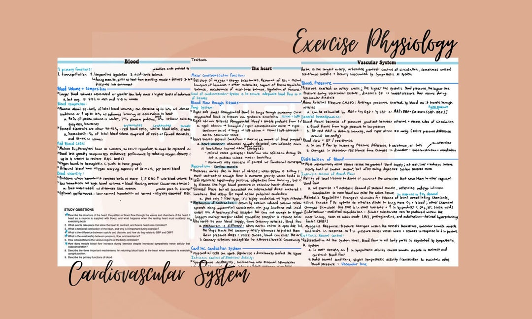 Exercise Physiology Cardiovascular System Notes - Etsy