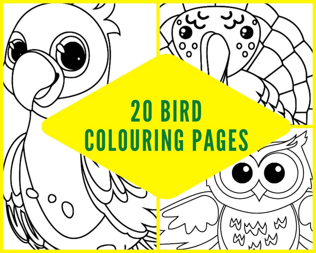 Birds, Colours, and Fun: 20 Colouring Pages for Kids to Enjoy and Learn ...