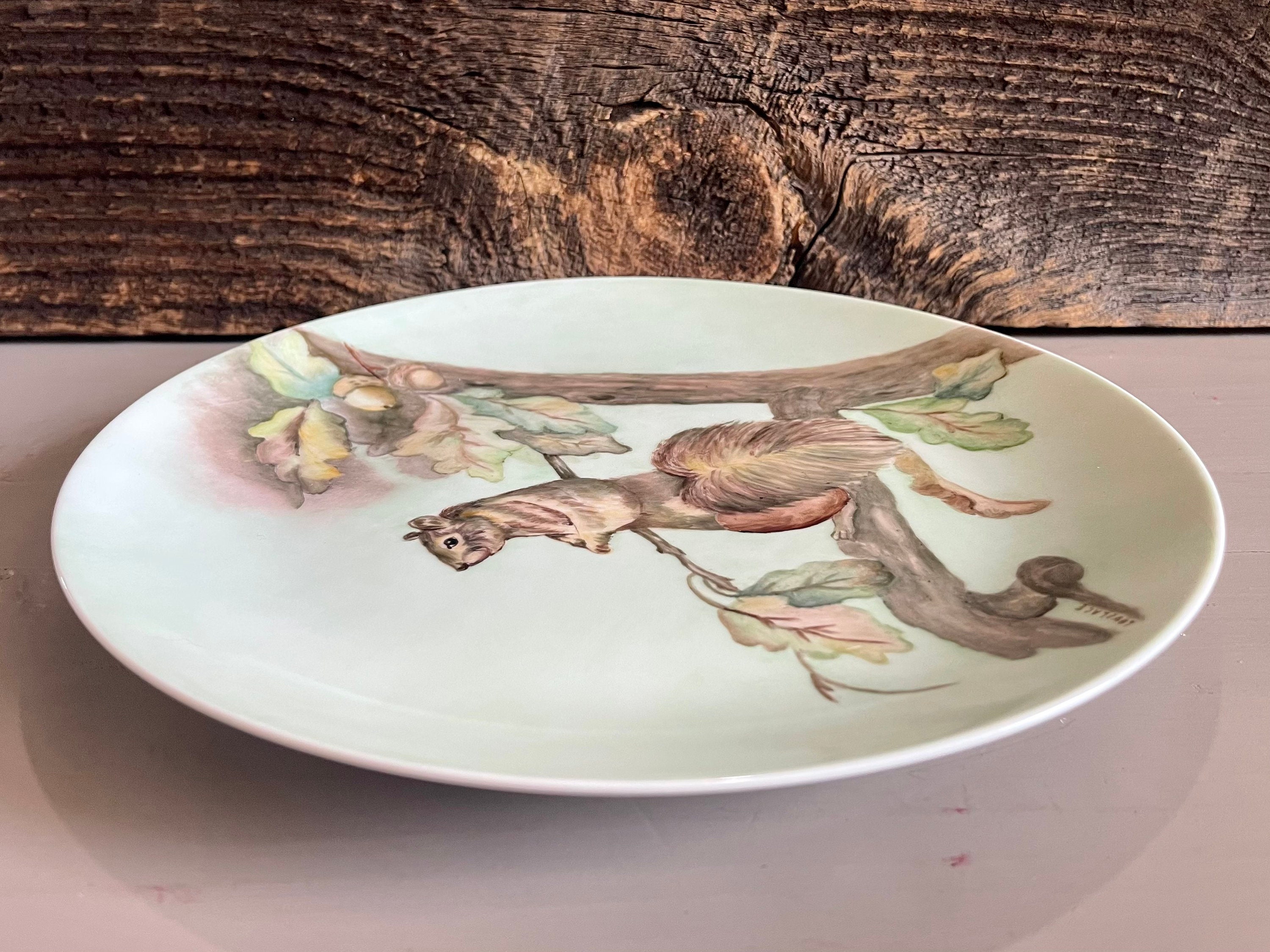 Vintage 10 Squirrel Plate Squirrel on Tree Plate - Etsy UK