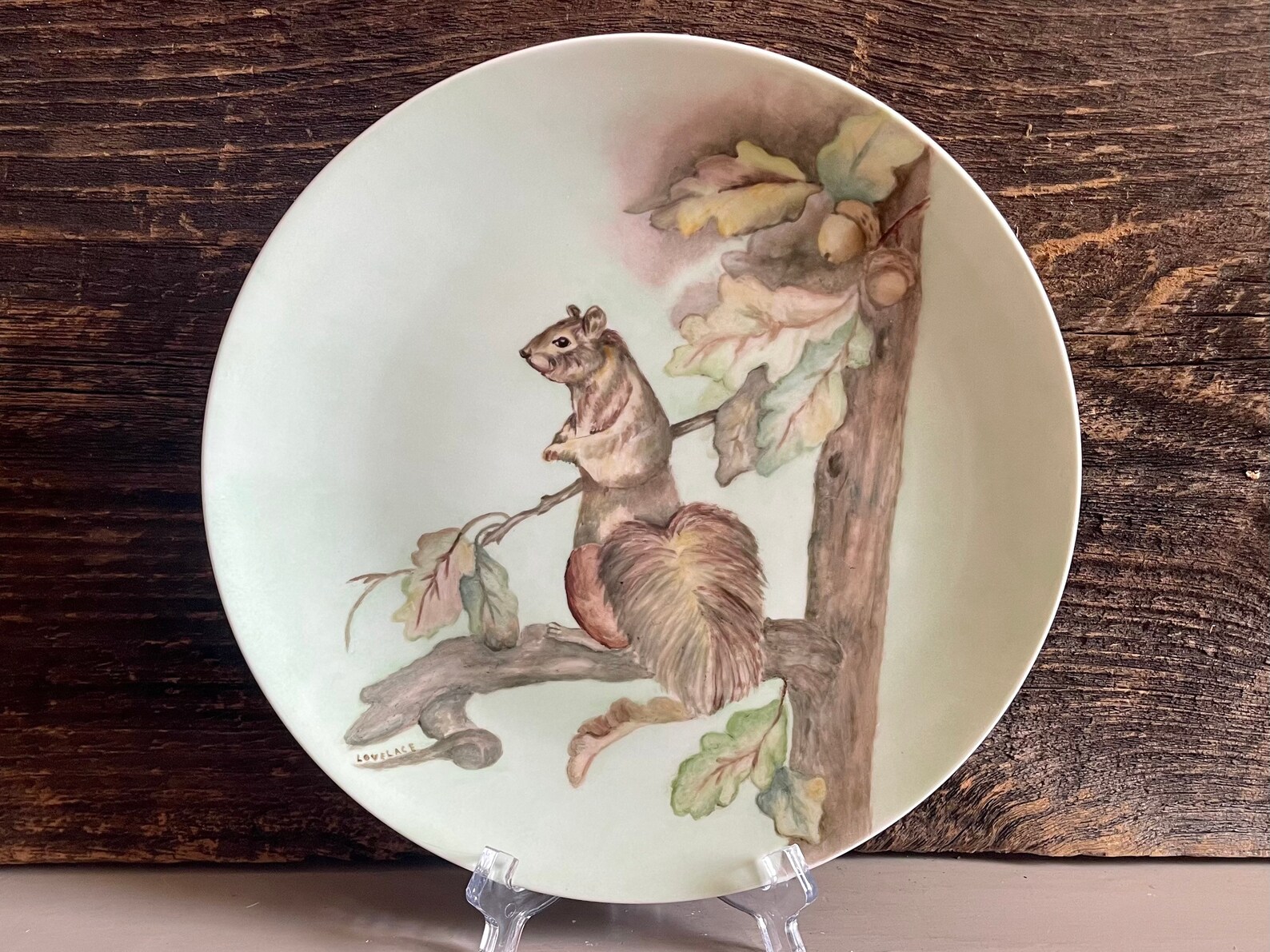 Vintage 10 Squirrel Plate Squirrel on Tree Plate - Etsy UK