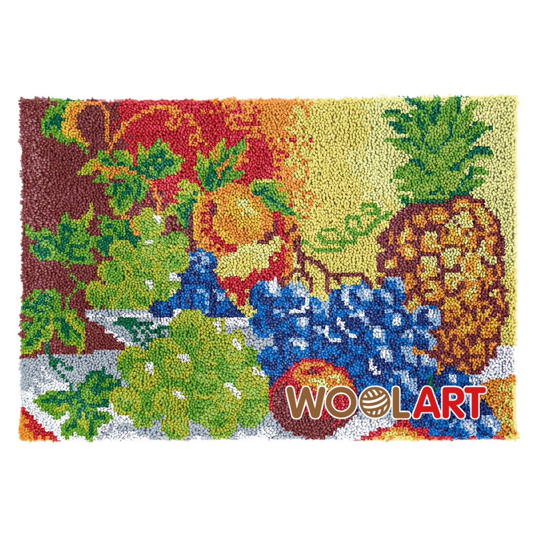 Still Life Fruits Latch Hook Rug Kits for Adults Blank Canvas - Etsy