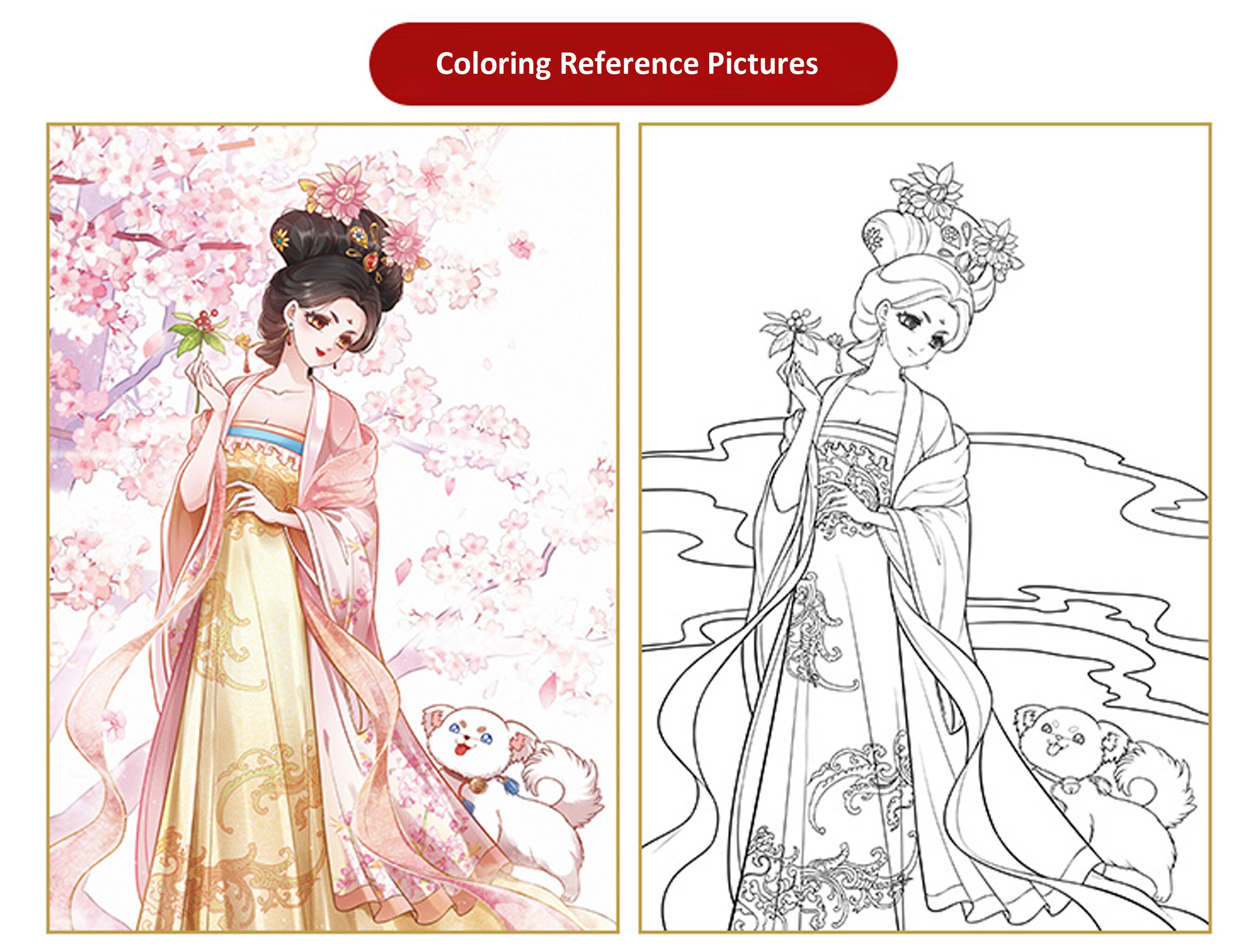 The Beauties of Tang Dynasty Chinese Coloring Book Da Tang - Etsy UK