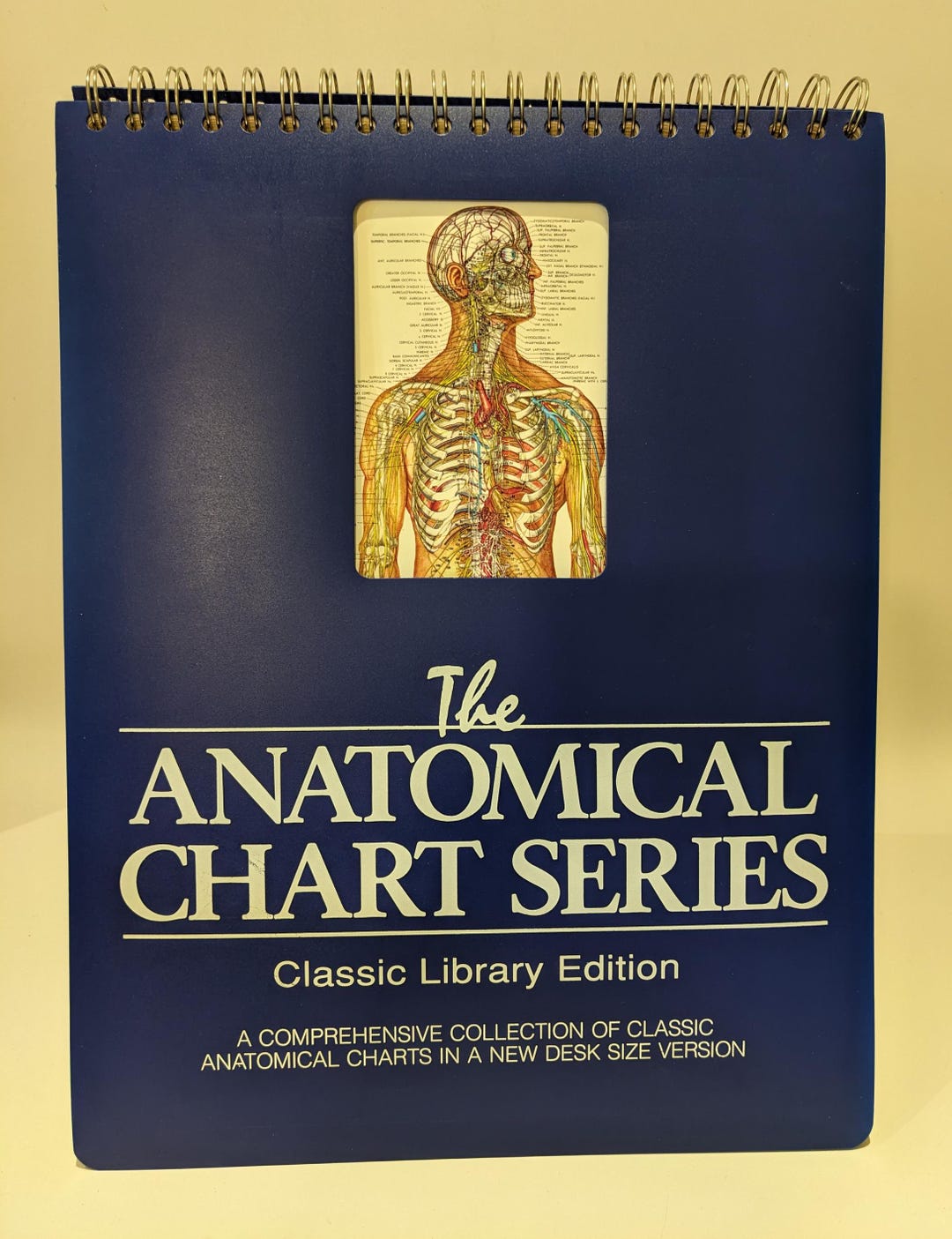 Vintage Anatomical Chart Series Classic Library Edition 1993 - Large ...