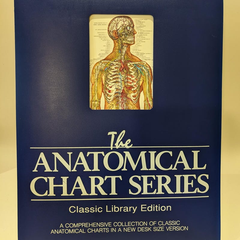 Anatomical Chart - Etsy