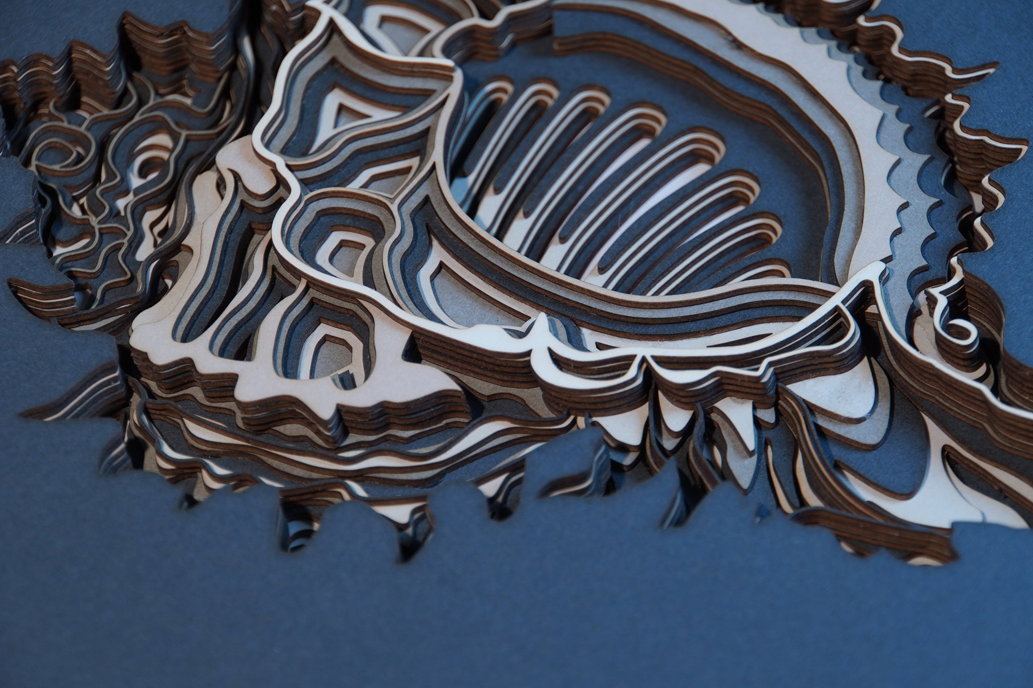 Conch Shell, Layered Digital File, Download SVG, AI, DWG, Animals ...