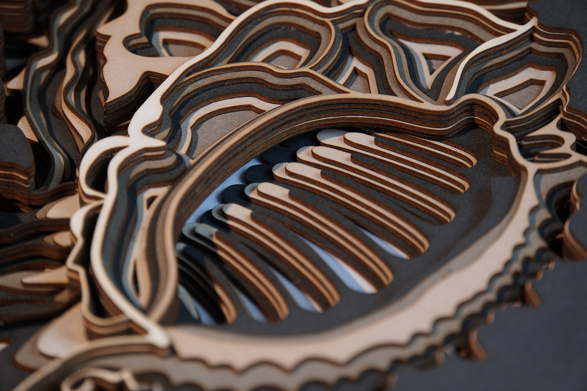 Conch Shell, Layered Digital File, Download SVG, AI, DWG, Animals ...