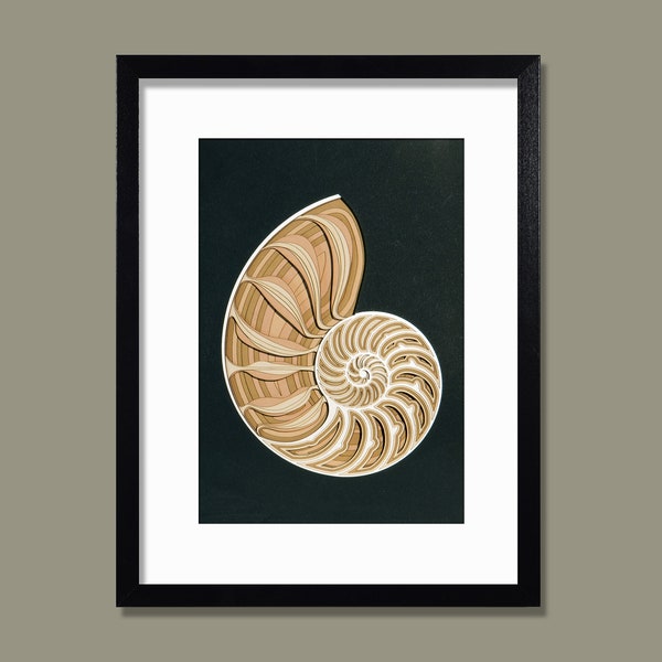 Nautilus Shell Art - Etsy