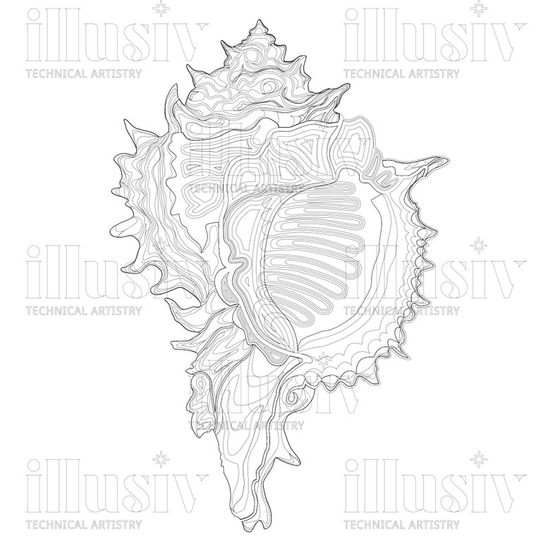 Conch Shell, Layered Digital File, Download SVG, AI, DWG, Animals ...