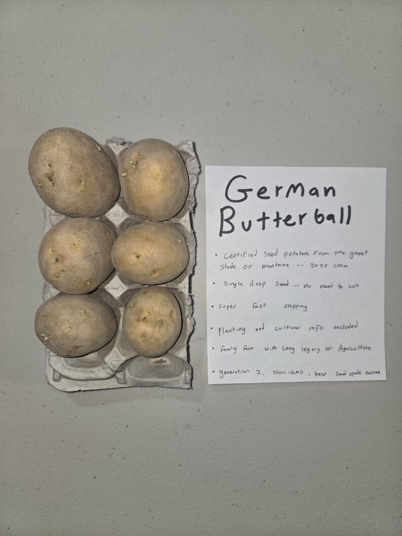 German Butterball Certified Seed Potatoes - Etsy