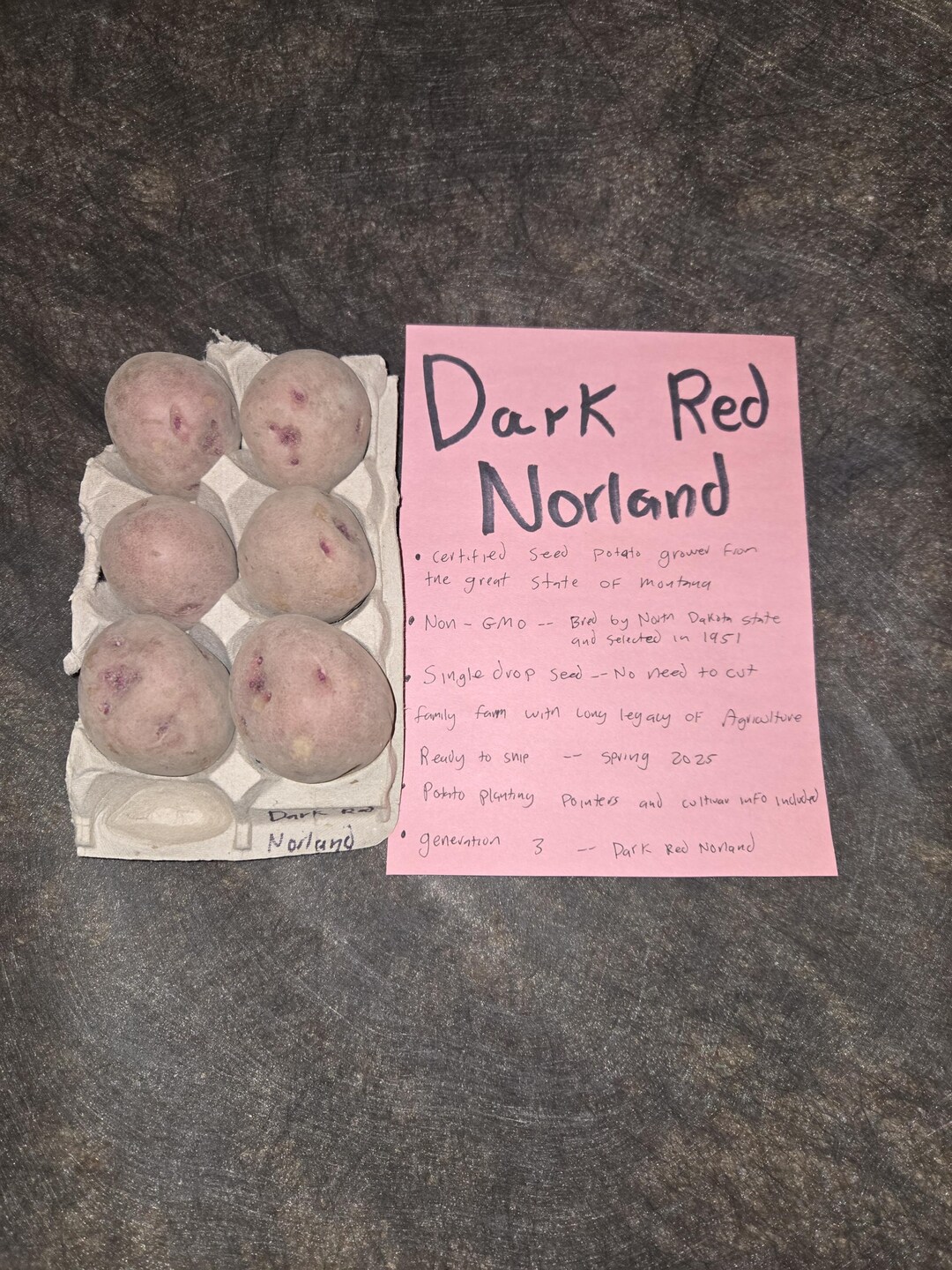 Dark Red Norland Certified Seed Potatoes - Etsy