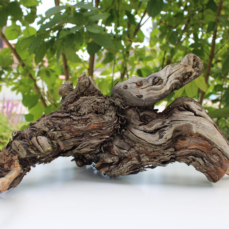 Grapewood Branch - Etsy