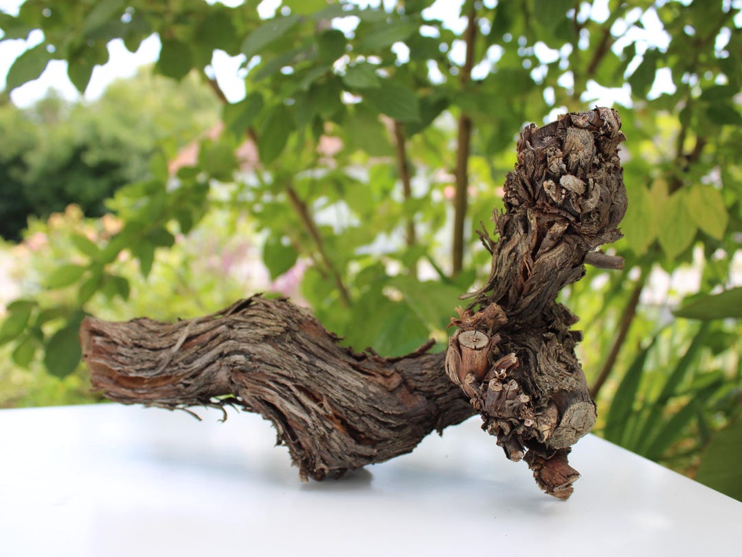 Twisted Grape Vine Wood Nature Art Magical Item Decoration Raw Wood ...