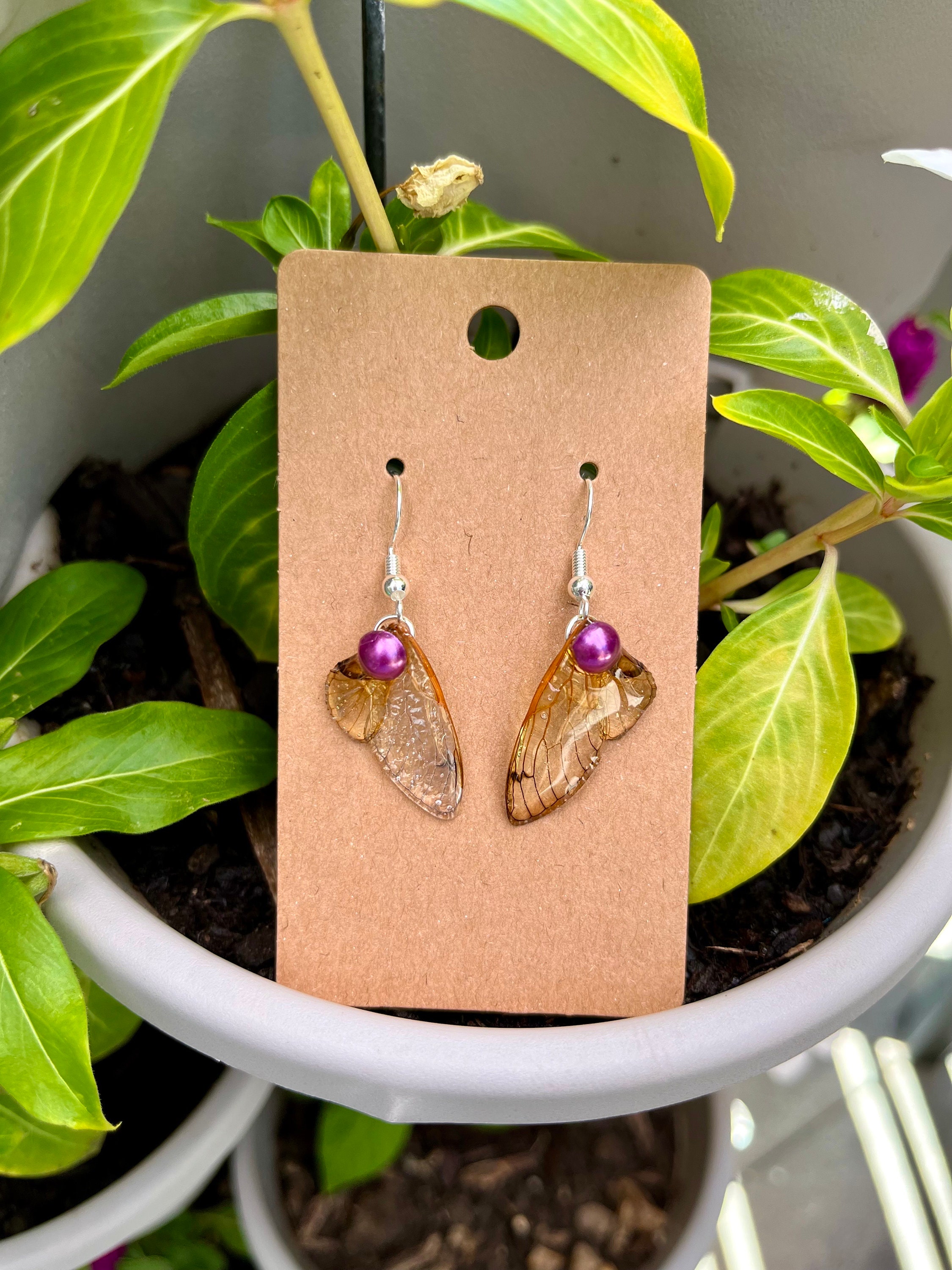 Cicada Wing Earrings - Etsy