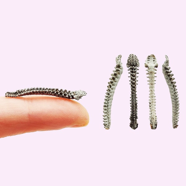 Bones for Jewelry - Etsy