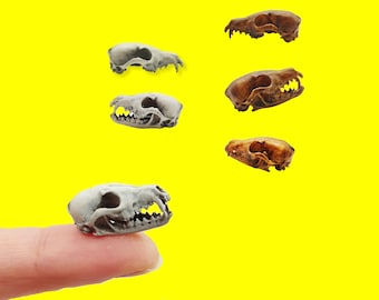 Fox Skull Cranium and Jaw 1:6 Scale Skull Replica for Diorama ...