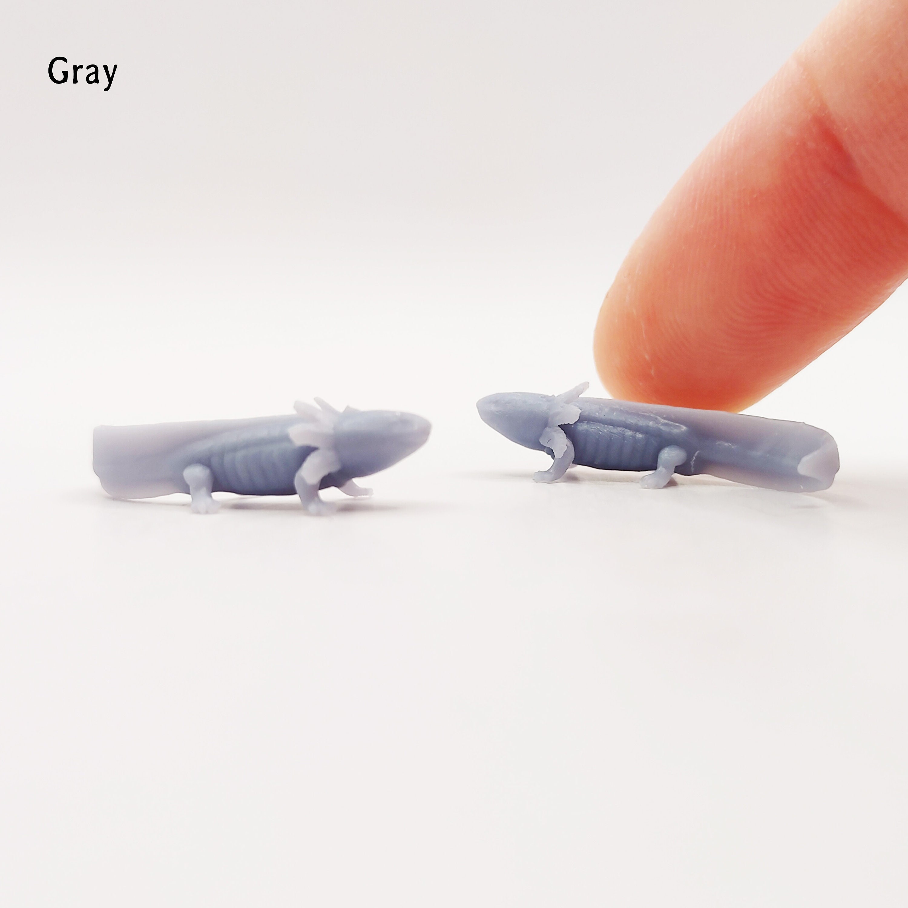 Axolotl 1:12 Scale Miniature Amphibian Animal Salamandar for - Etsy