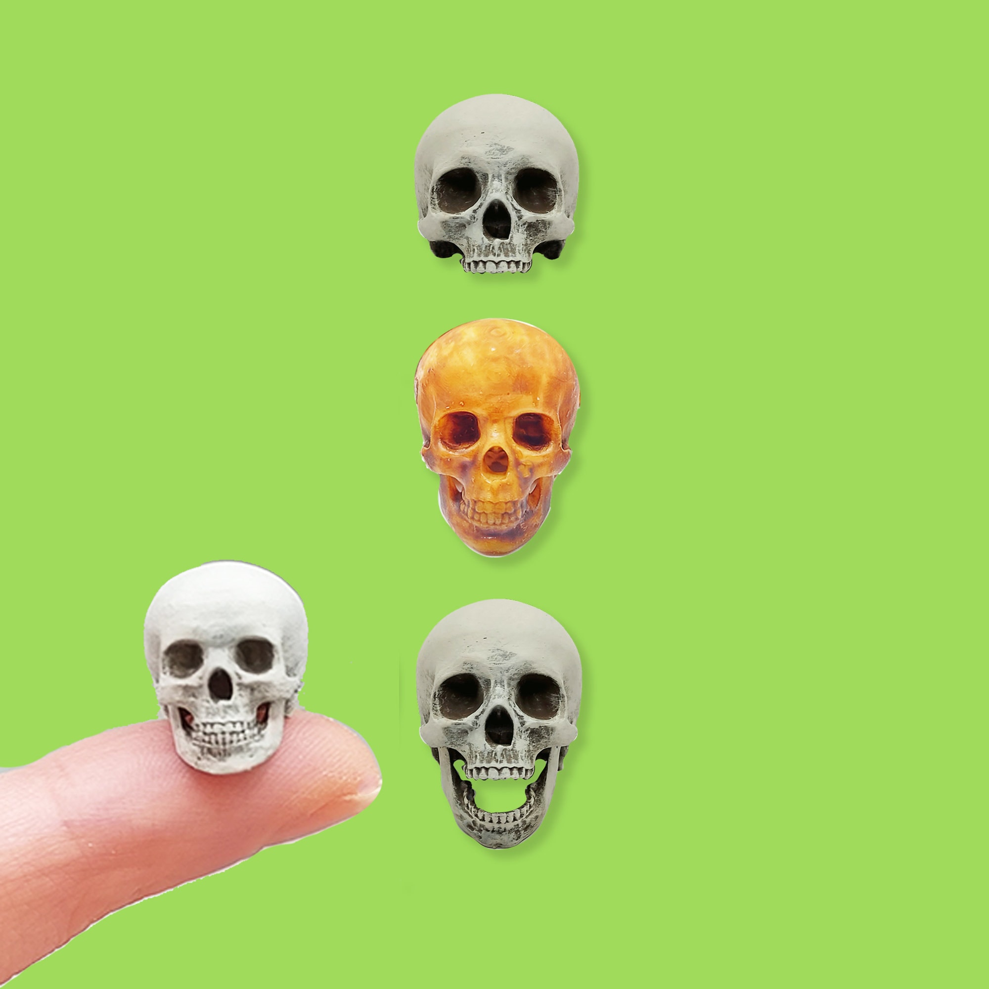 Human Skull Replica, 1:18 Scale Miniature Set of 5 Great for 3.75 ...