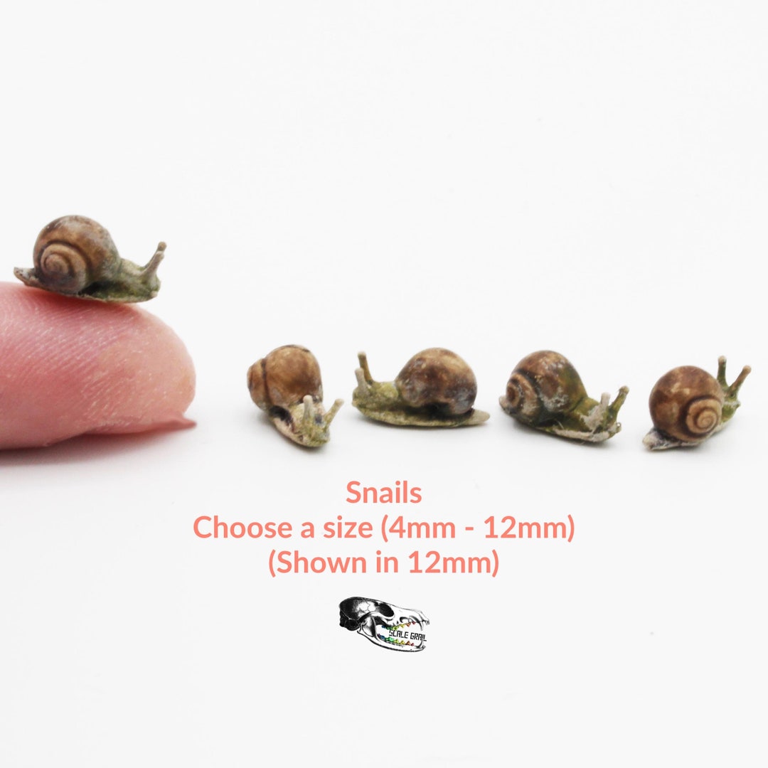 Garden Snail Miniature Choose a Size 4mm - 12mm Tiny Scale Replica for ...