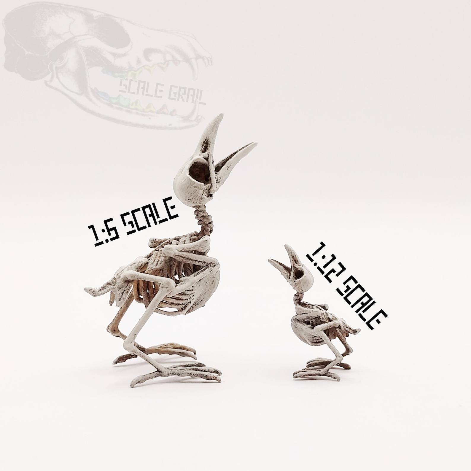 Raven Skeleton Full - 1:12 Scale Miniature Size for Horror Diorama ...