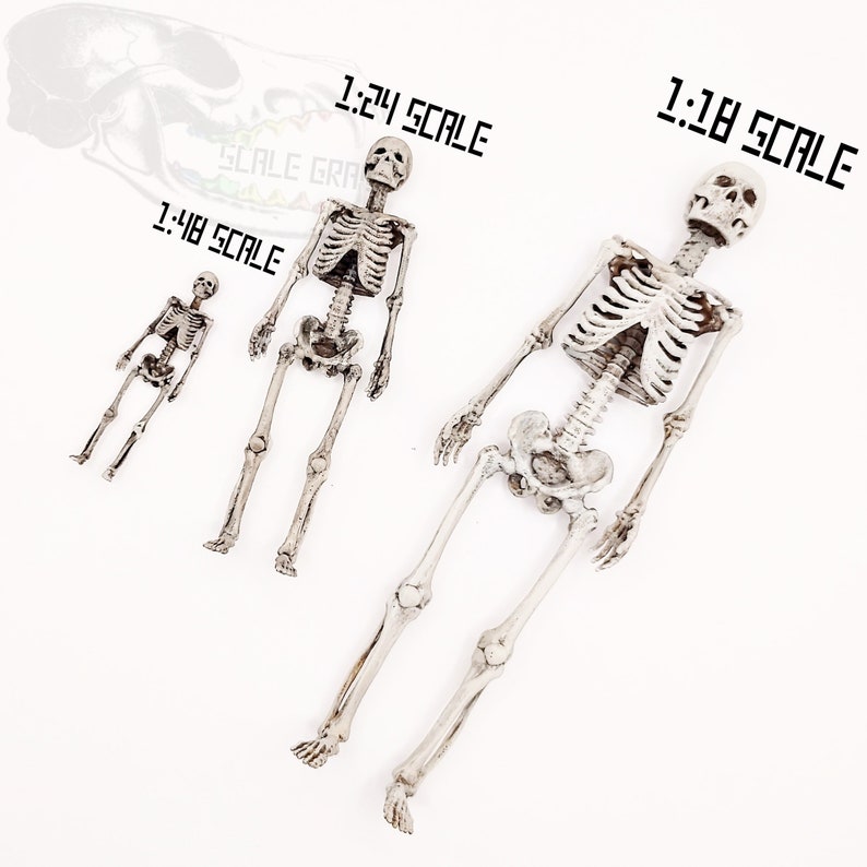 Human Skeleton - 1:24 Scale Miniature for Horror Diorama, Dollhouse ...