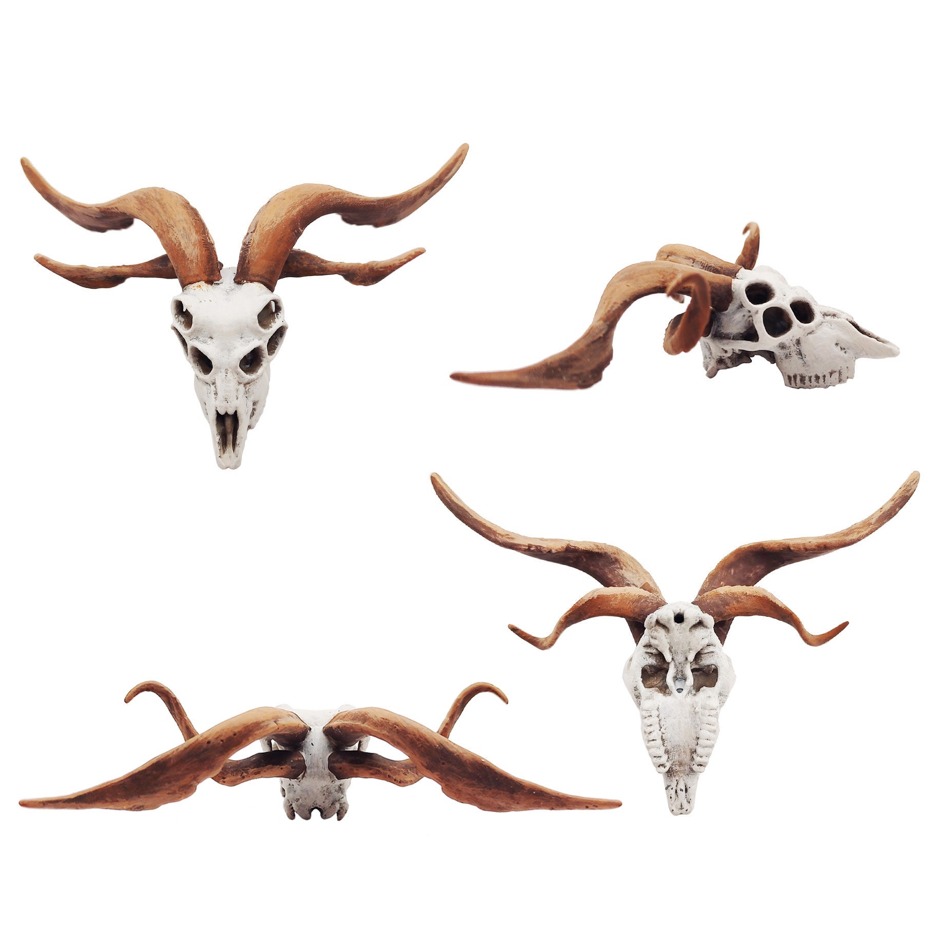 Demon Goat Skull - 1:12 Scale Miniature Cranium Size for Occult Diorama ...