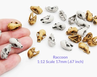 Human Ribs With Spine 1:12 Scale Miniature Size for Horror Diorama ...