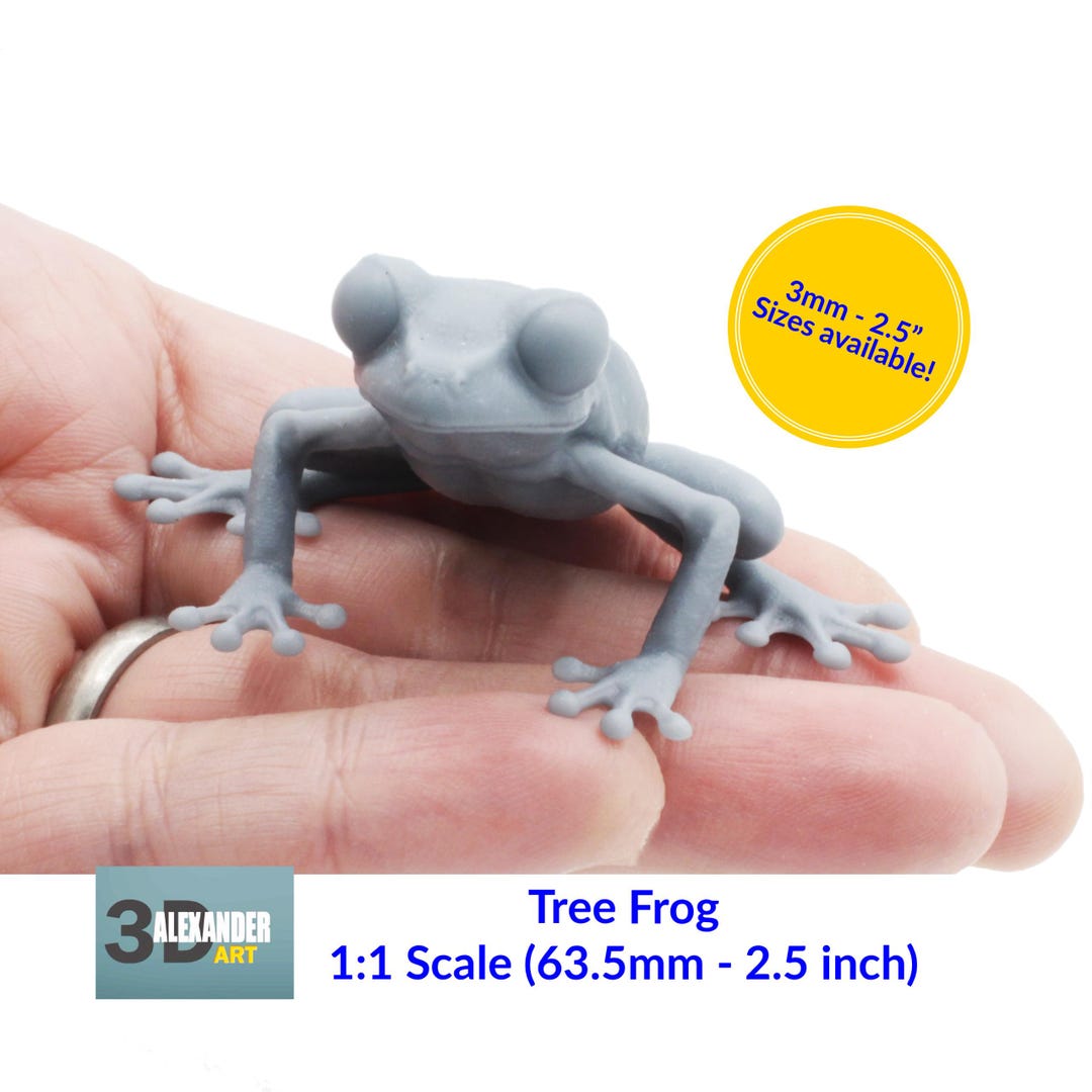 Tree Frog - 1:1 Scale Miniature Replica Animal Red Eye Tree Frog ...
