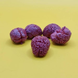 Human Brain, Set of 5 Great for 1:12 Scale Dioramas, Horror Scenes ...