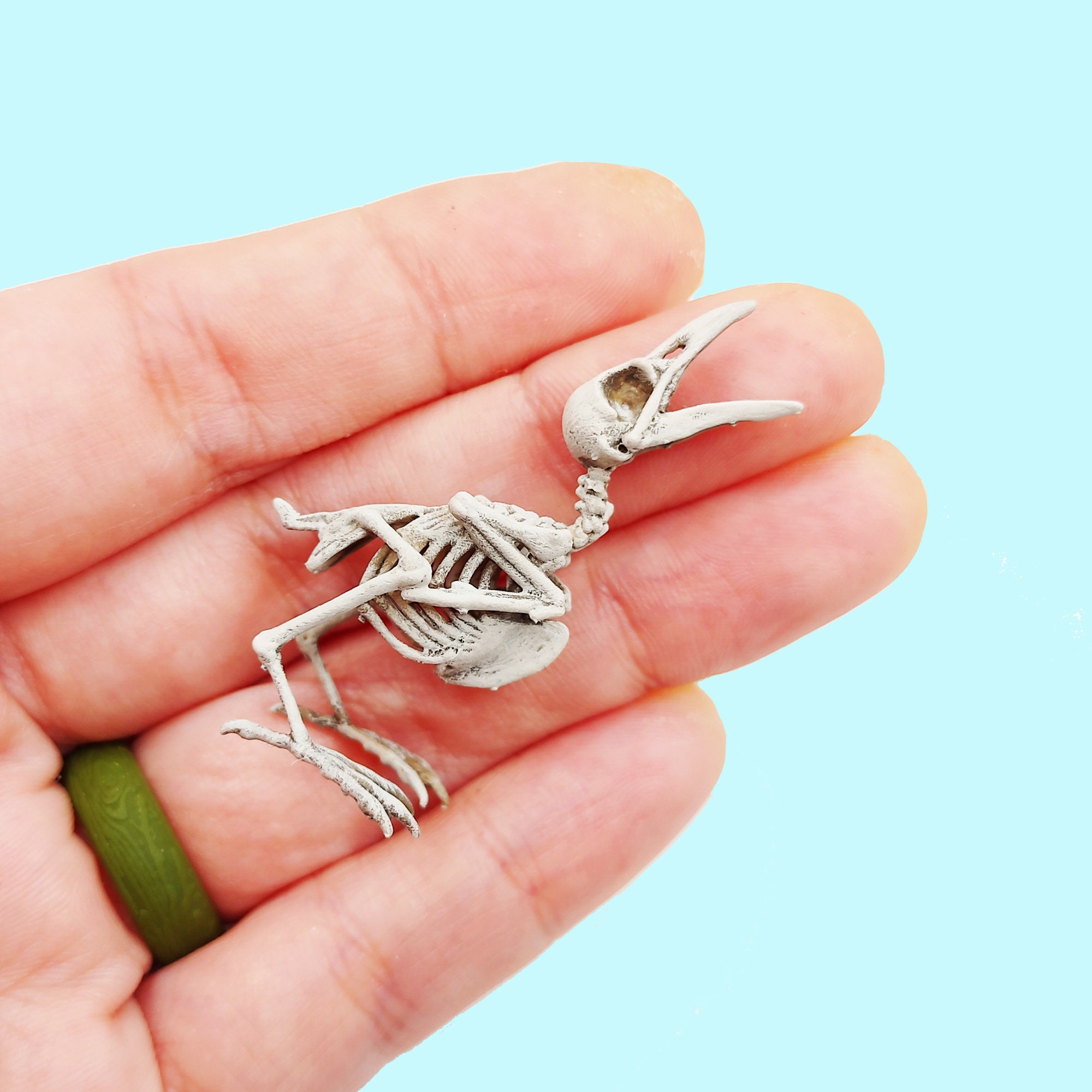 Raven Skeleton Full 1:6 Scale Miniature Size for Horror - Etsy