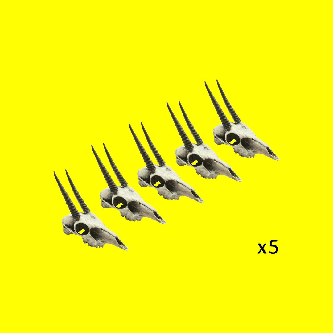 Oribi Skull Cranium Replica - 1:12 Scale for Diorama, Miniature Horror ...