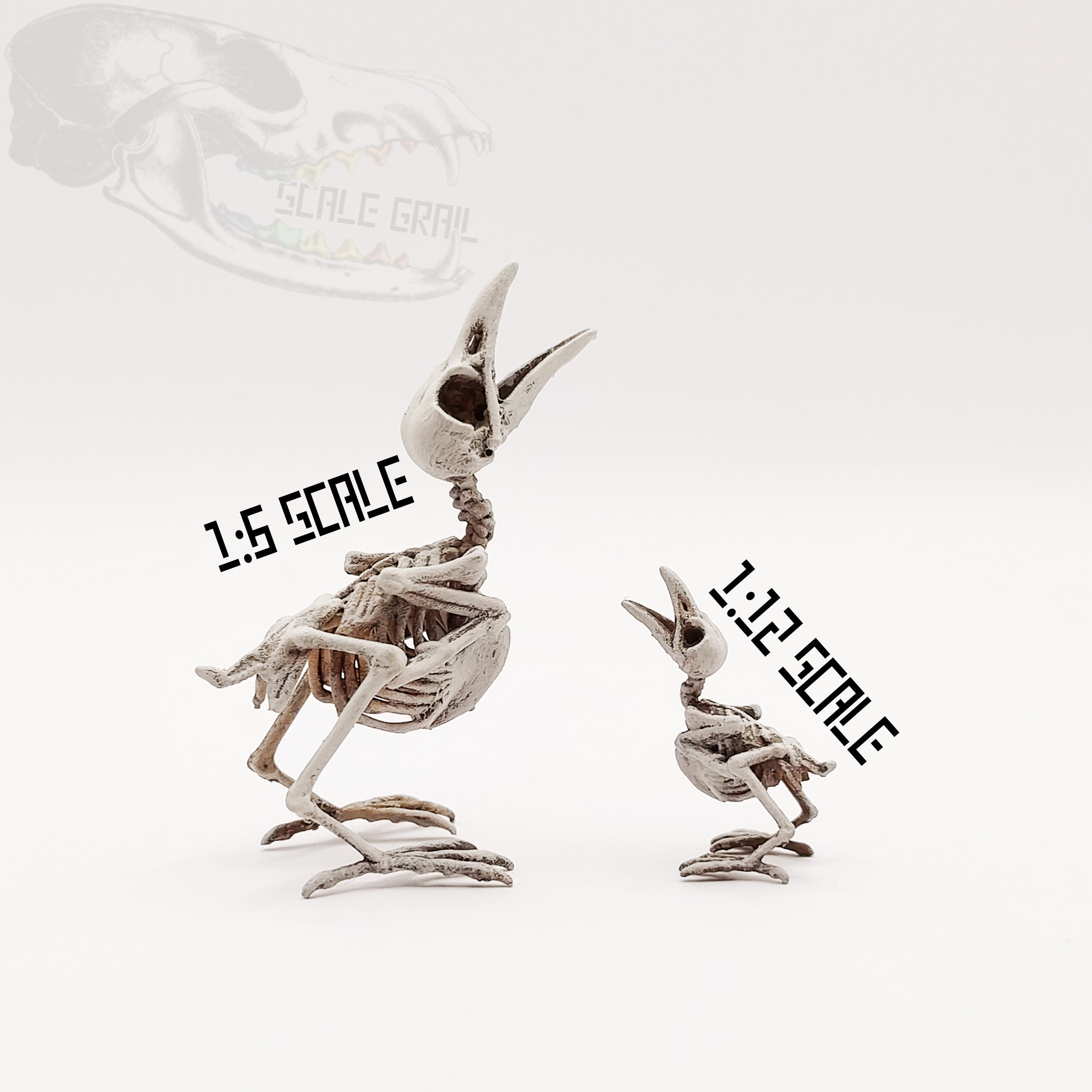 Raven Skeleton Full 1:6 Scale Miniature Size for Horror - Etsy