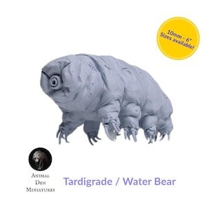 Tardigrade (water Bear) Miniature Diorama Dollhouse Figurine Resin ...
