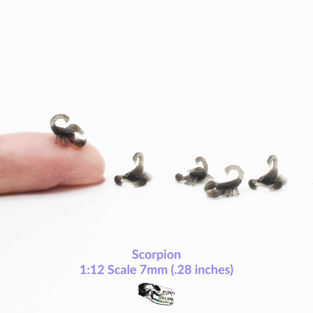 Scorpion - 1:12 Scale Miniature for Dollhouse, Diorama, Jewelry Making ...