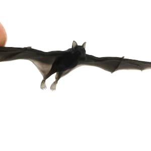 Miniature Bat - 1:12 Scale Bats for Dollhouse Diorama Small Animal Art ...