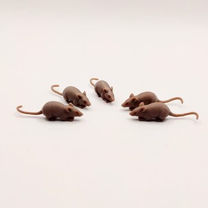 Miniature Rats - 1:12 Scale Miniature Size for Horror Diorama ...