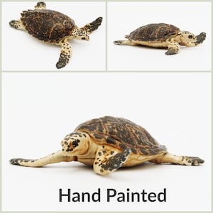 Hawksbill Sea Turtle 1:24 Scale Miniature Sea Animal Tropical Diorama ...