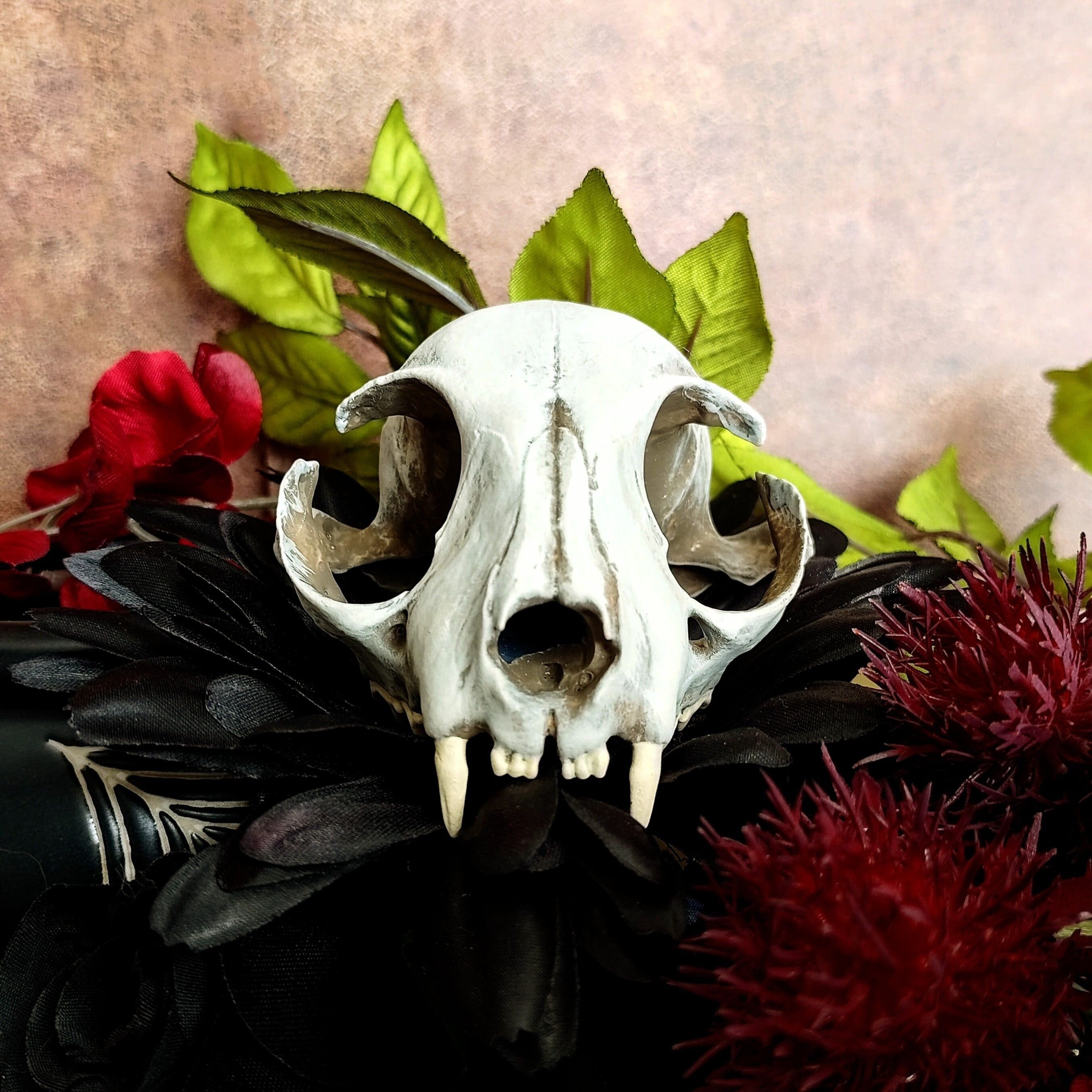 Cat Skull Replica 1:1 Scale Full Size for Curio Cabinet - Etsy