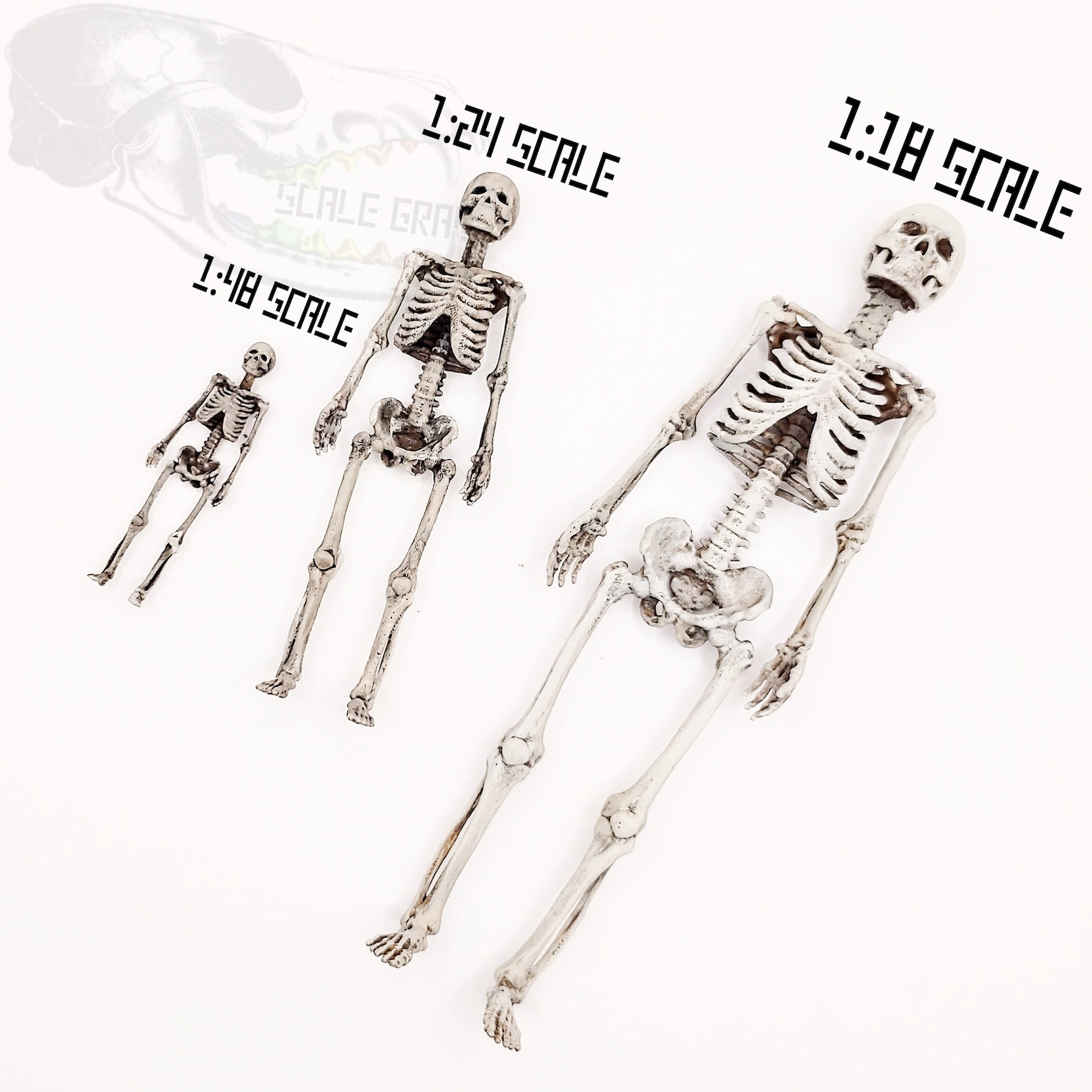 Human Skeleton Full - 1:18 Scale Miniature Size for Horror Diorama ...